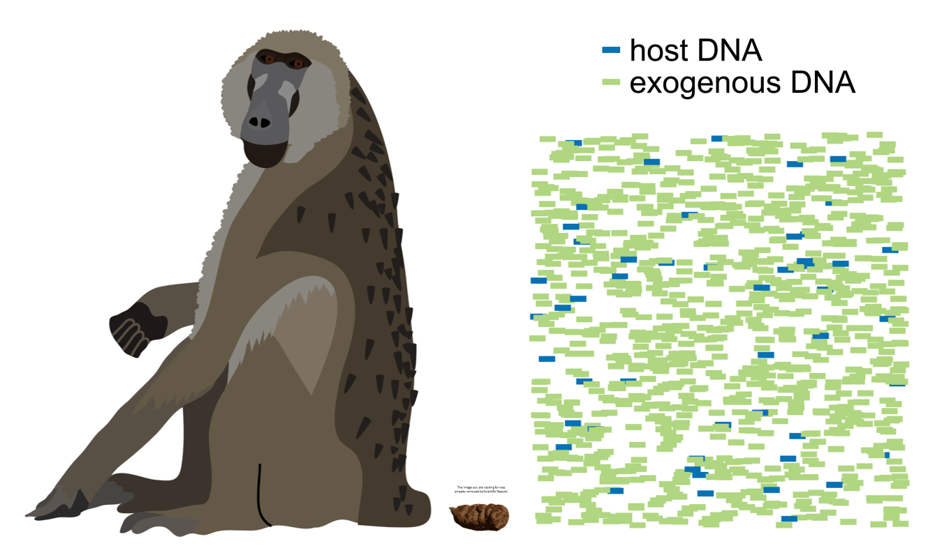 Scientific Literacy | Evolution Literacy